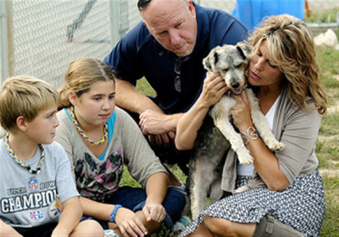 Humane Animal Rescue of Pittsburgh celebrates 150 years of looking out ...