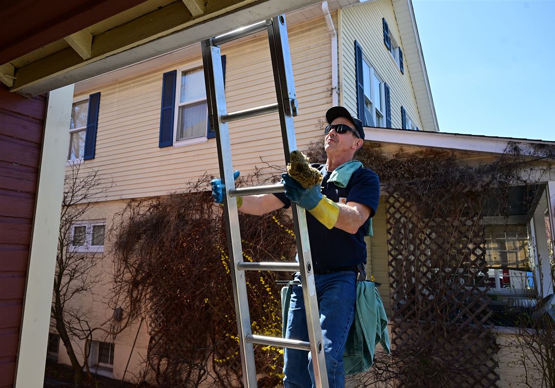Safety Ladders For Homes Ladder Trade Body Warns Of Unsafe Ladders