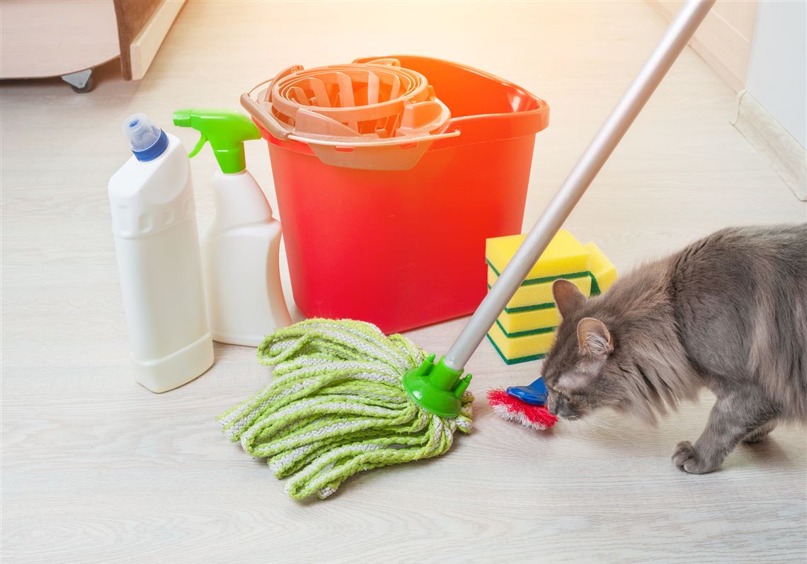 Miss Manners: Partner's avoidance of housework leads to resentment ...