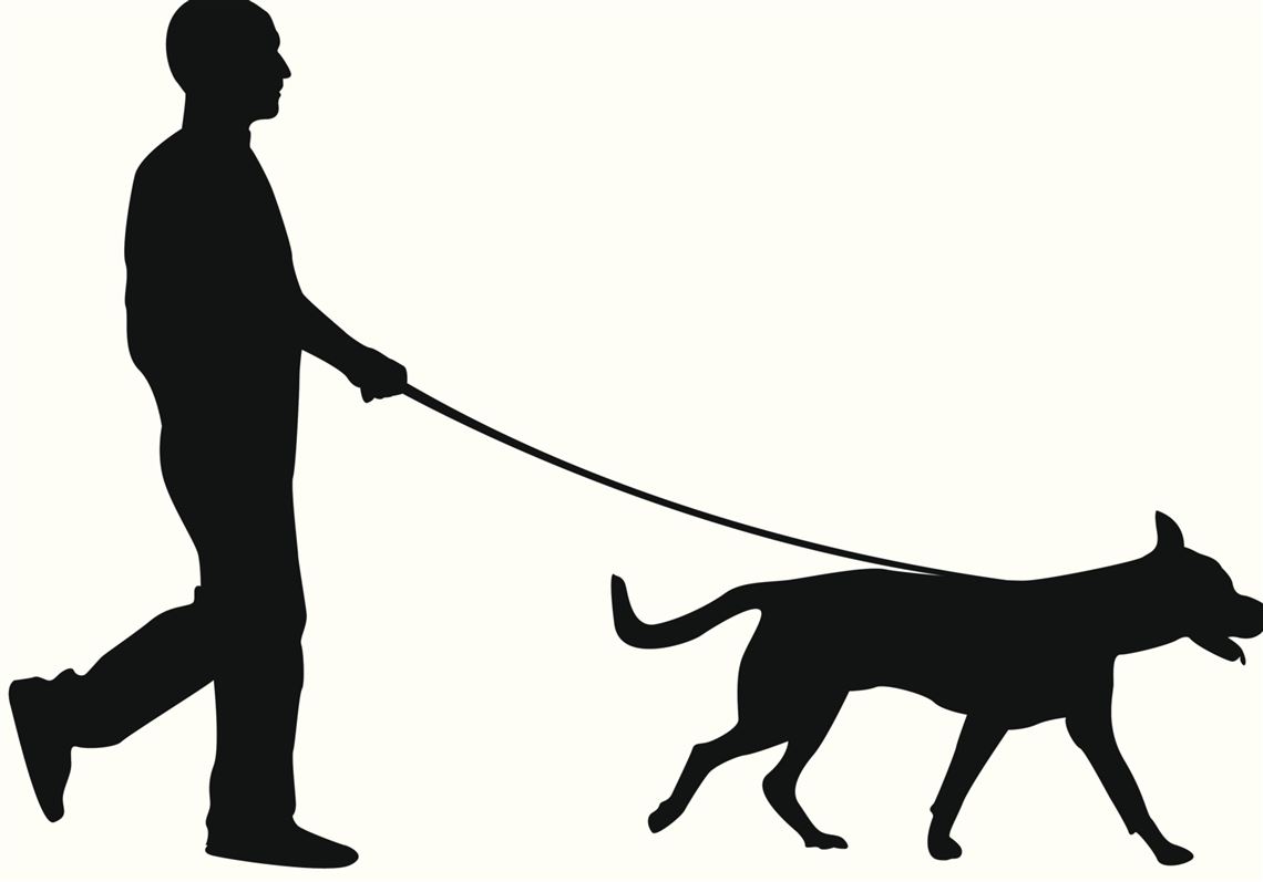 Gary Rotstein's What's New in Aging: Dog-walking helps you, too ...