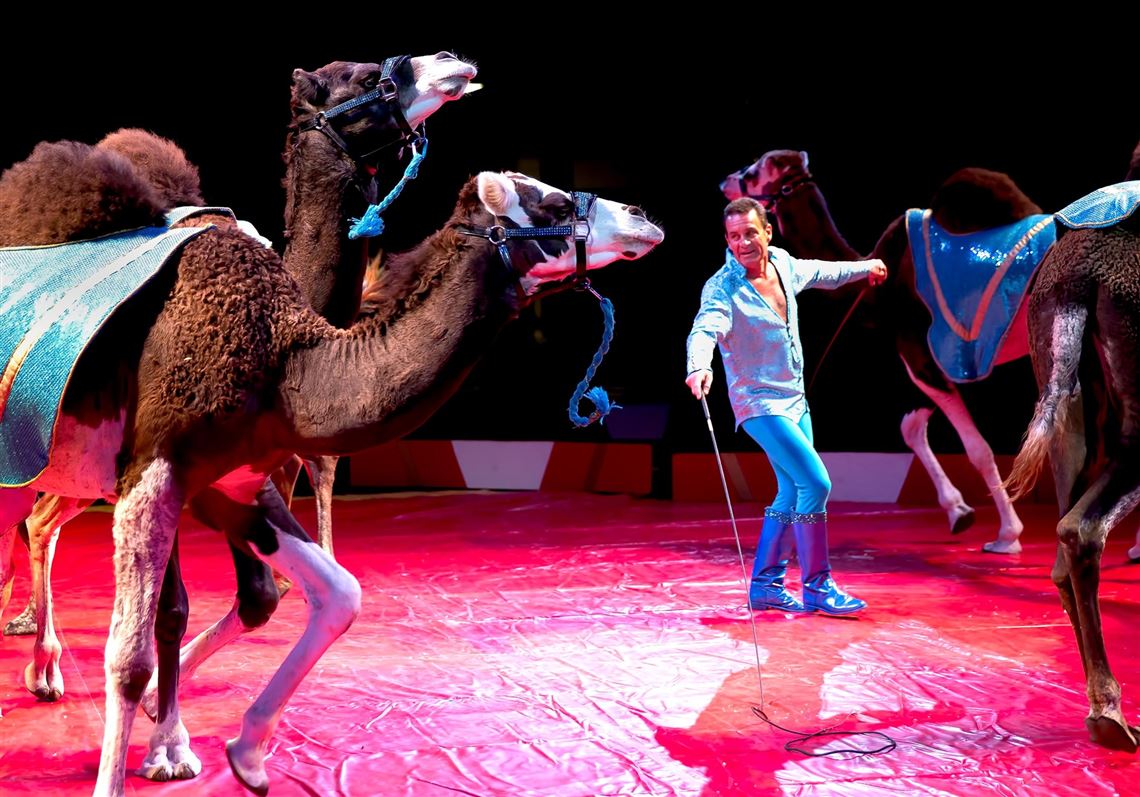 Feds reviewing Pittsburgh Shrine Circus accident that injured seven ...