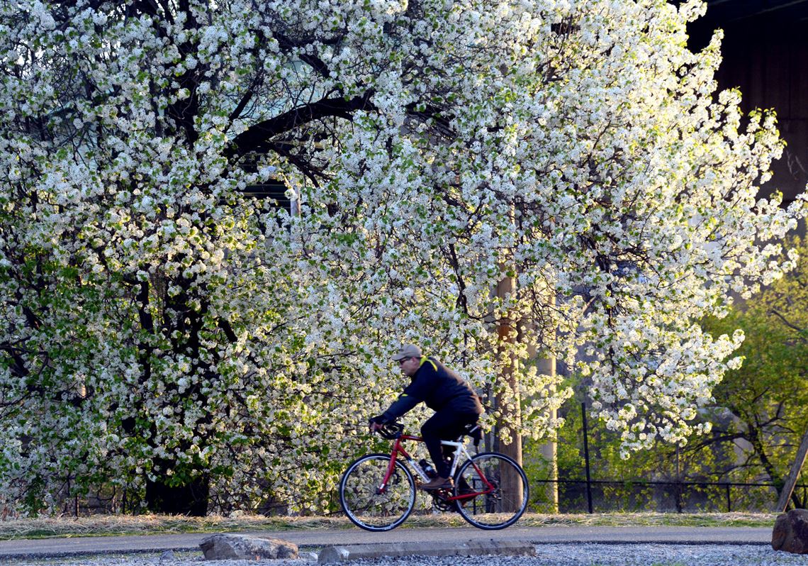 Warmer temps move in, just in time for first day of spring | Pittsburgh ...