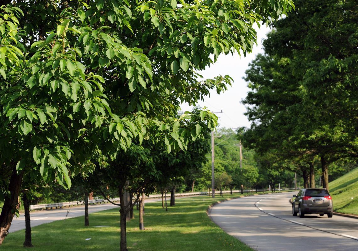 Route 30 Ardmore Boulevard Traffic Shifts Again Friday Evening