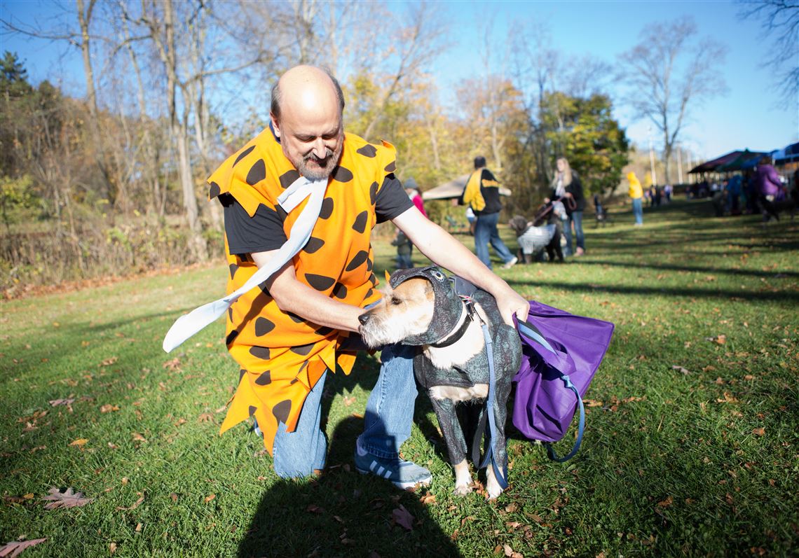 Pet Events: Dracula's Cat, Muttster Mash and other events | Pittsburgh ...