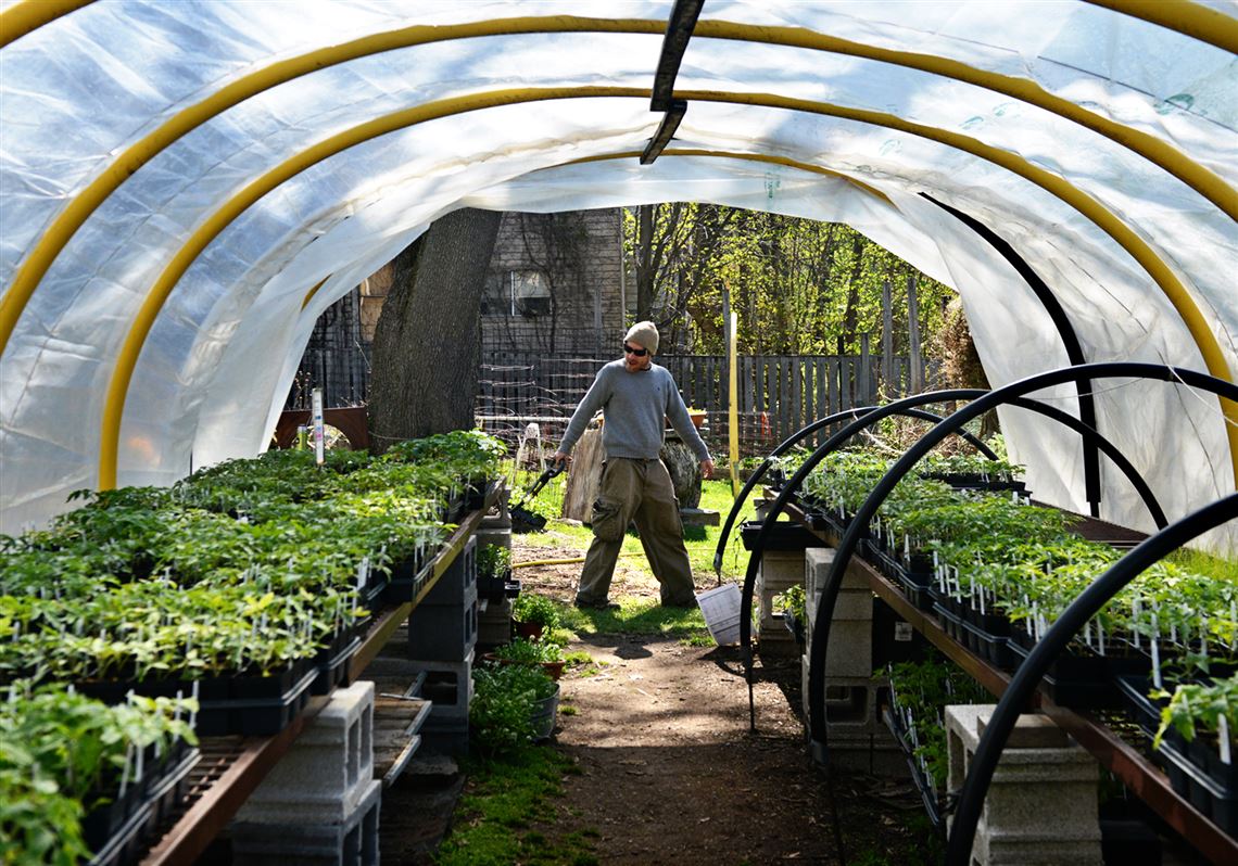 Grow Pittsburgh to keep Wilkinsburg's Garden Dreams alive | Pittsburgh ...