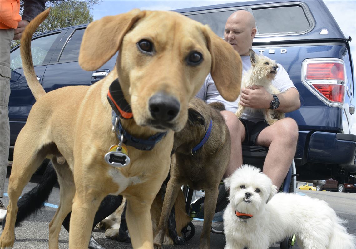Family of war hero, CMU grad touts service dogs for veterans ...