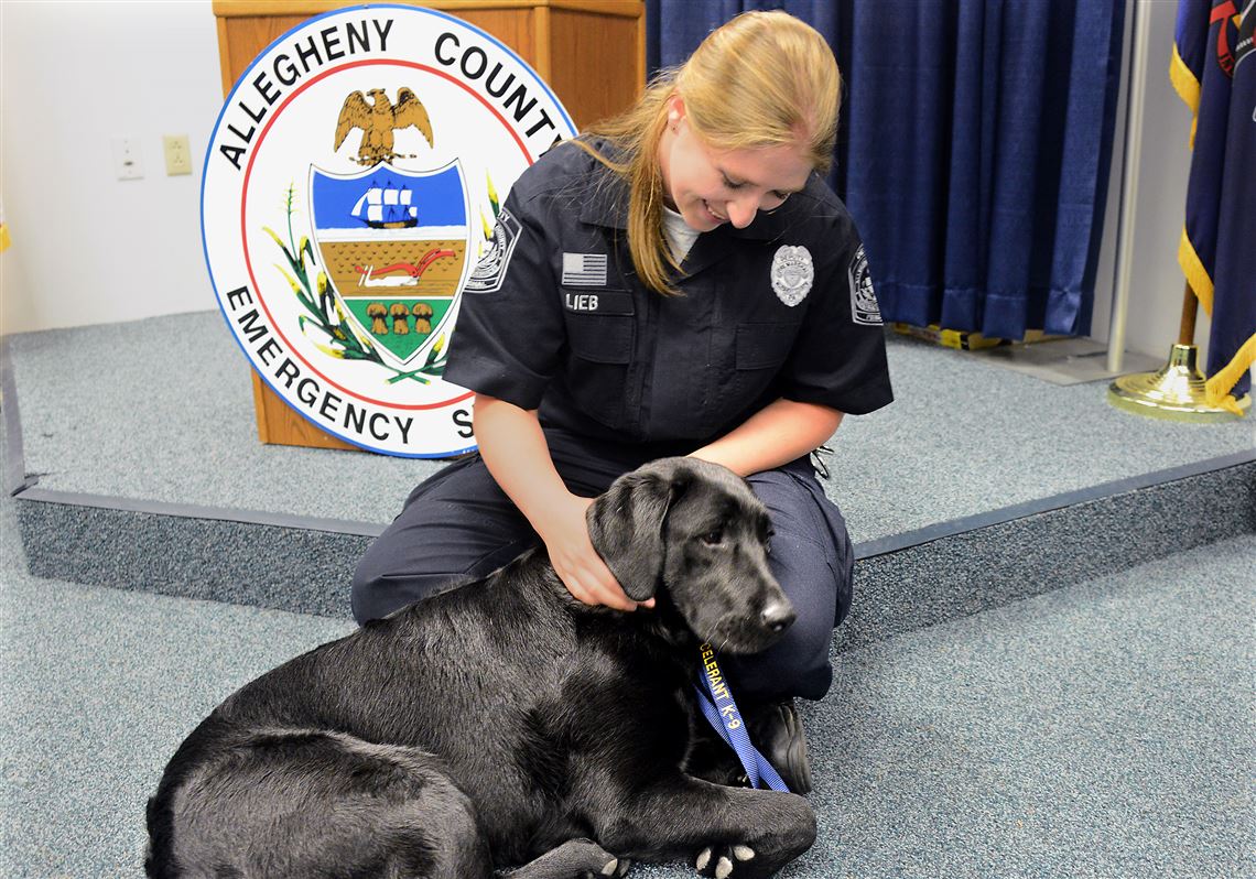 Allegheny County’s newest ATF canine team is introduced to the public ...
