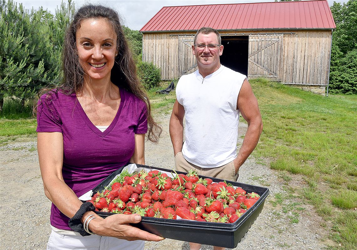 Holistic health counselor aims for better nutrition through vegan ...