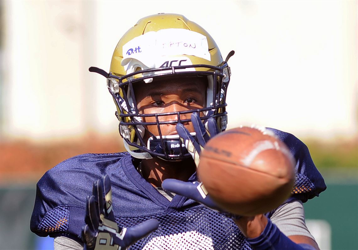 Two freshman wide receivers likely to contribute for Pitt | Pittsburgh ...