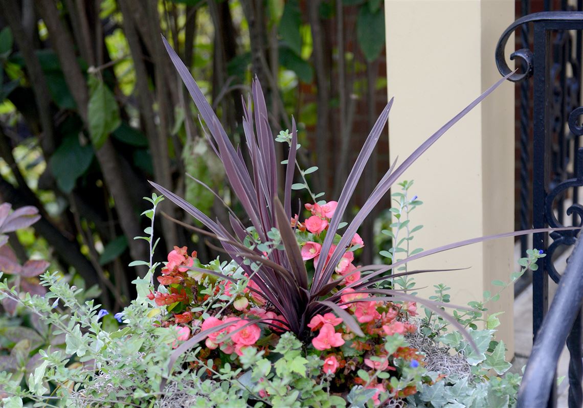 How great is your garden? Enter the 2017 Great Gardens Contest and find ...