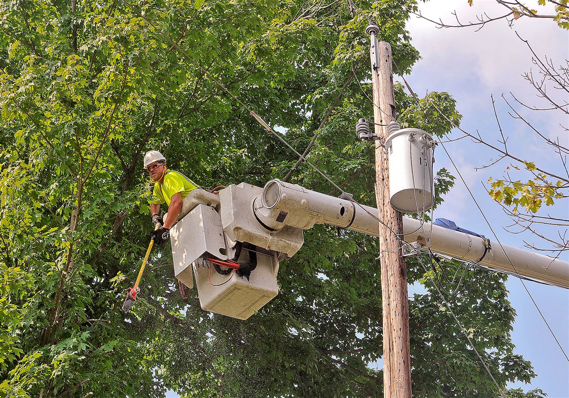 West Penn pledges end to frequent power interruptions; tree work a big ...