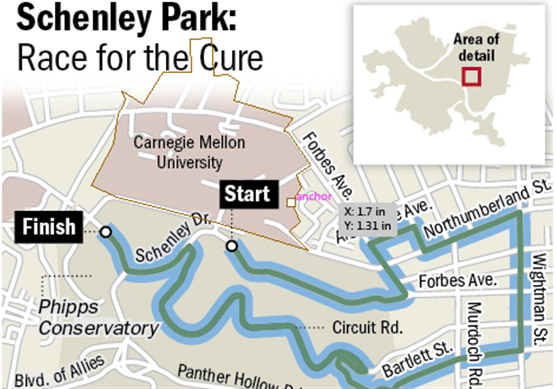 Sunday’s Race for the Cure expected to draw thousands | Pittsburgh Post ...