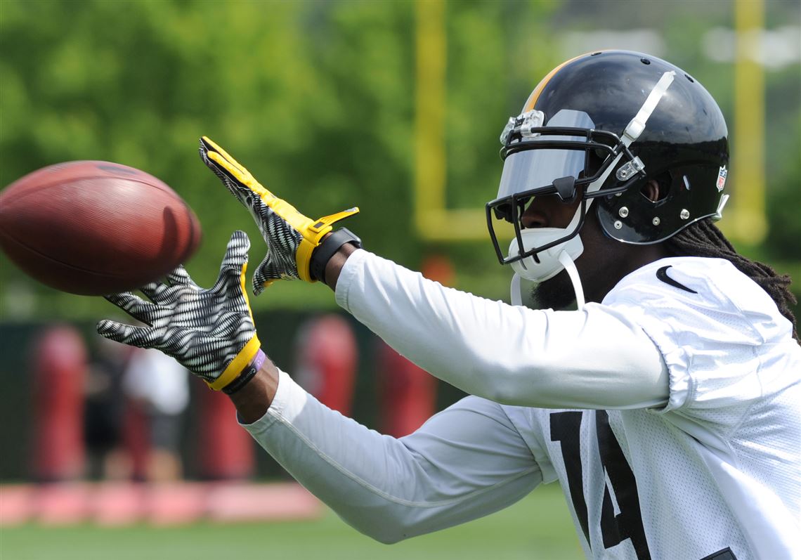 Paul Zeise: Are the Steelers Super Bowl favorites? Health will play ...