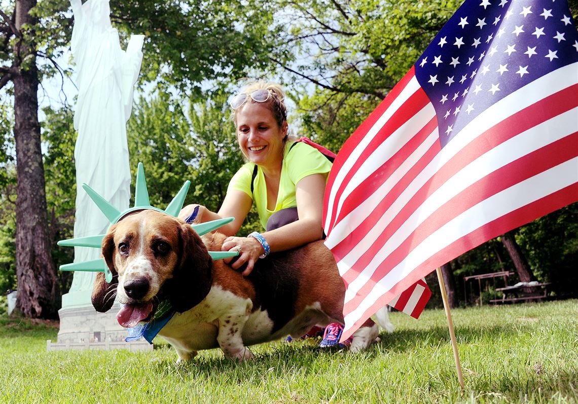 Homeless pets helping vets in Animal Friends program | Pittsburgh Post ...