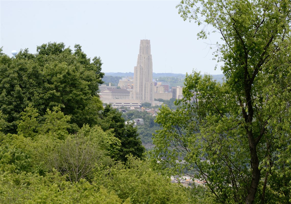 Nature of Pittsburgh’s new park will need protection | Pittsburgh Post ...