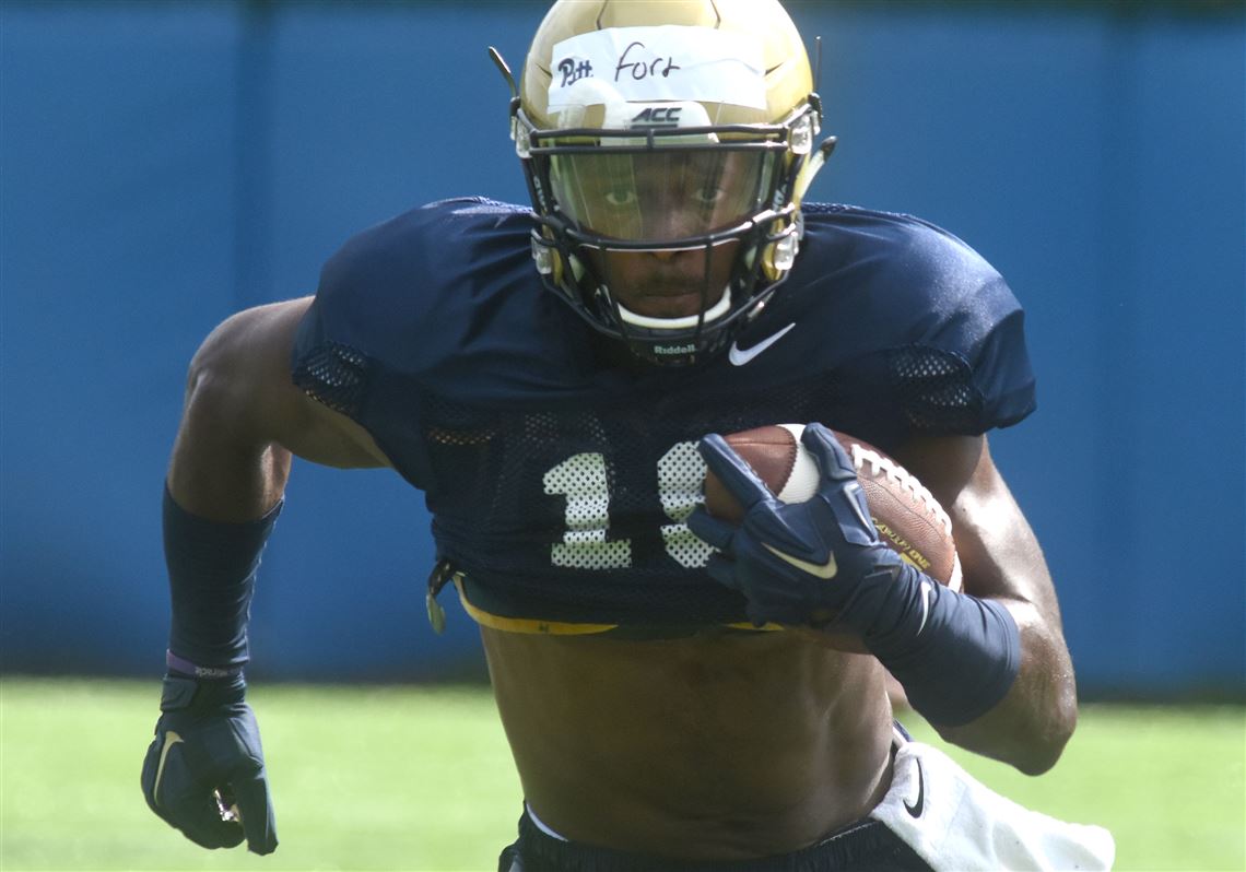 Panthers hunt for next star wide receiver; right now there are many ...