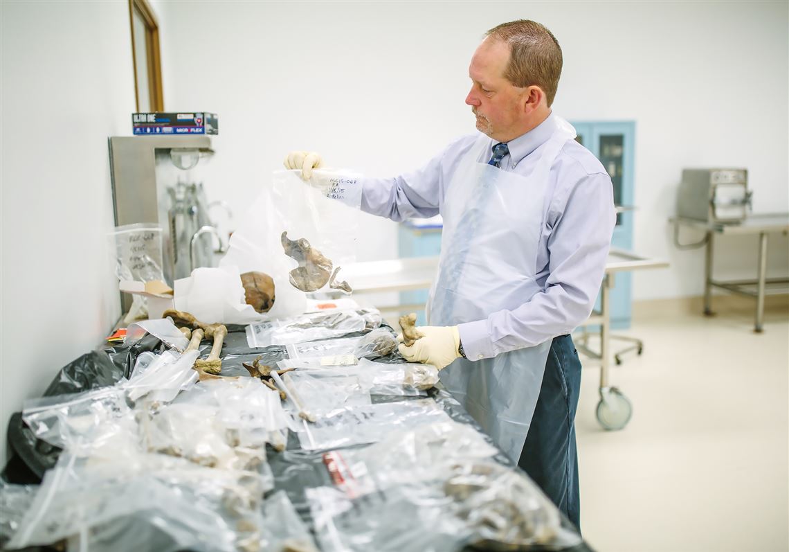 Coroners and organ groups might start working together on state bill ...