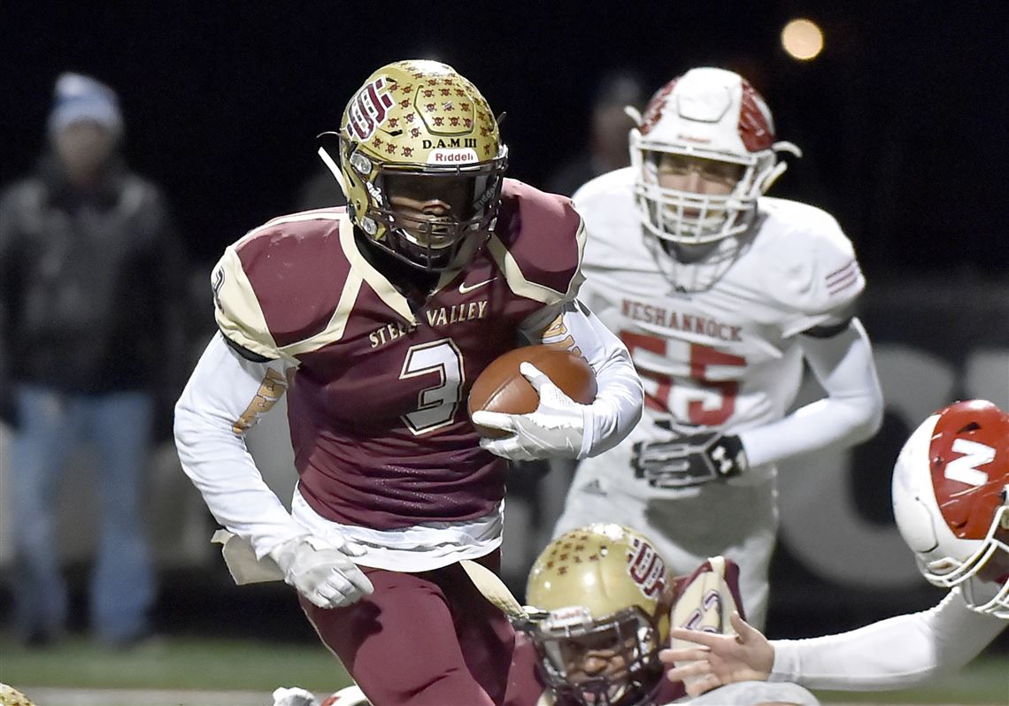 Steel Valley's DeWayne Murray, Rod Steele win state honors | Pittsburgh ...