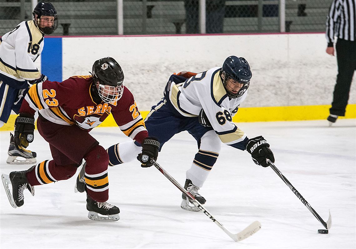 High school hockey notebook: Plum returns as the team to beat in Class ...