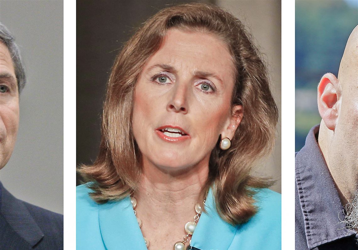 Democratic U.S. Senate candidates stress their credentials | Pittsburgh ...