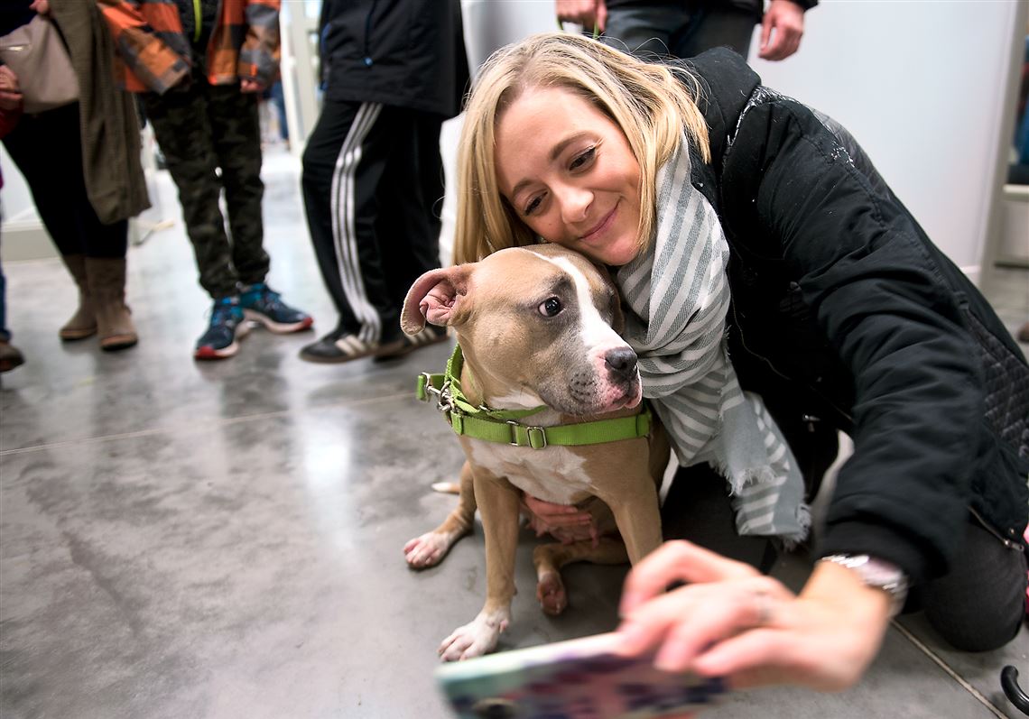 Pet Tales: Dogs (and other shelter pets) have their day | Pittsburgh ...