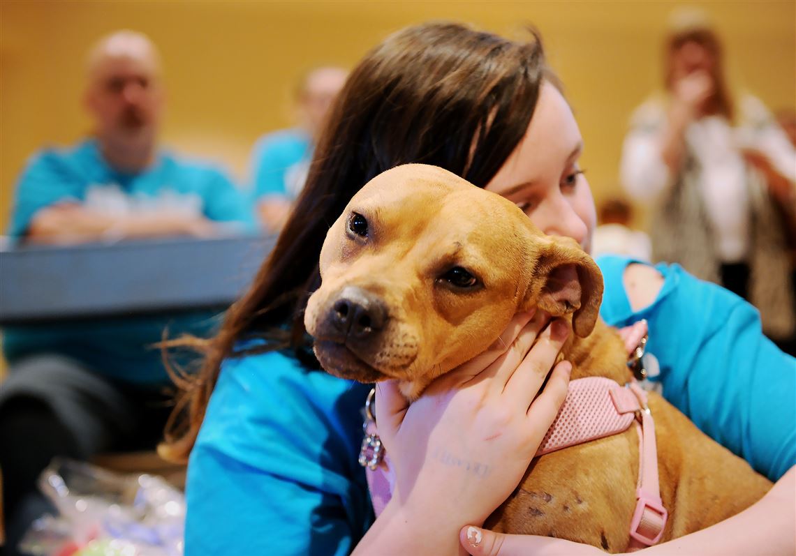 Biscuits Bingo a big win for more than the players | Pittsburgh Post ...