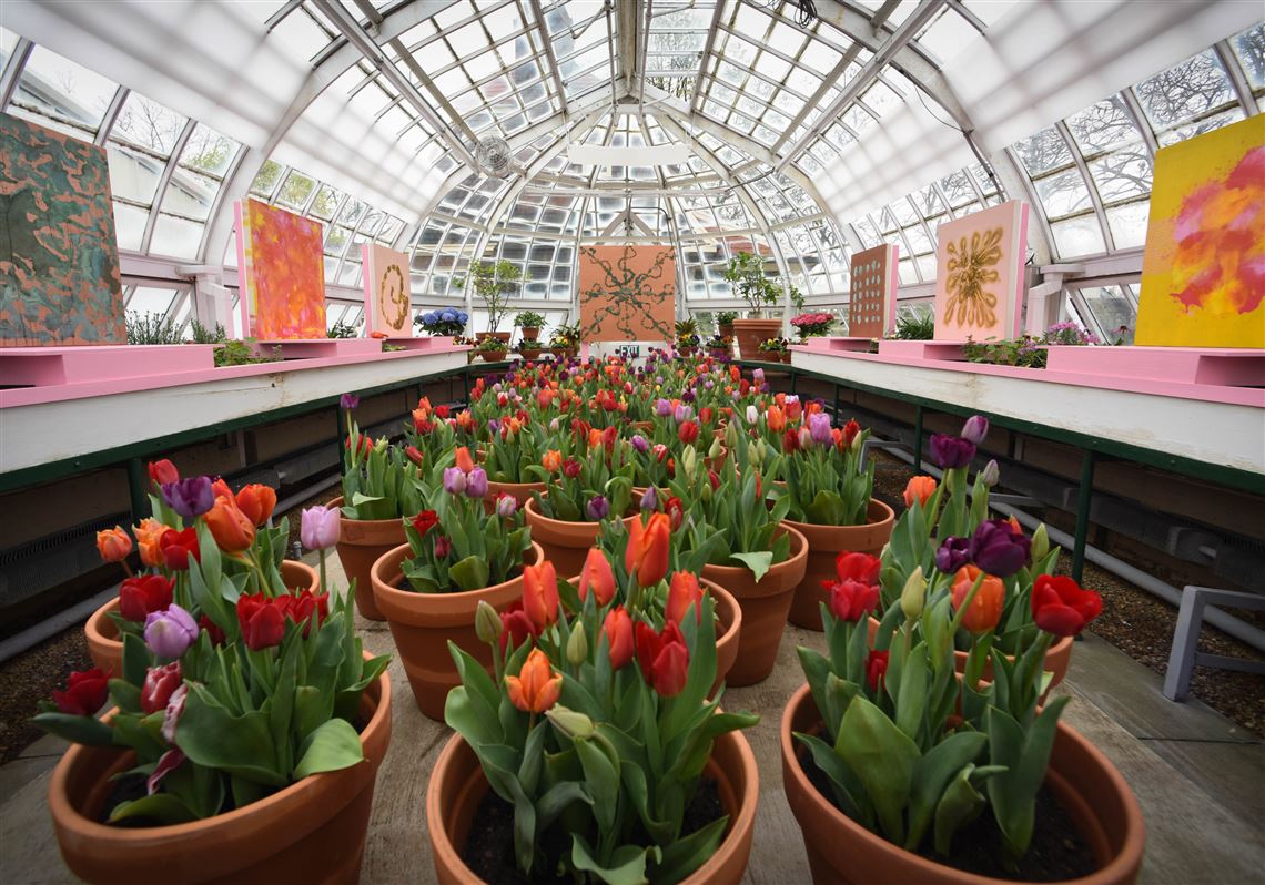 Elise Adibi models a holistic universe in the Frick Greenhouse ...