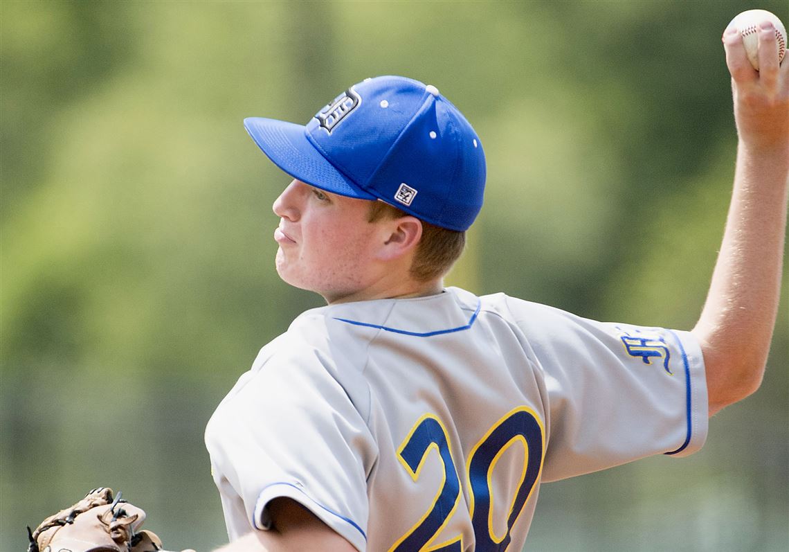 Mark Linkowski's no-hitter helps Mt. Lebanon advance | Pittsburgh Post ...