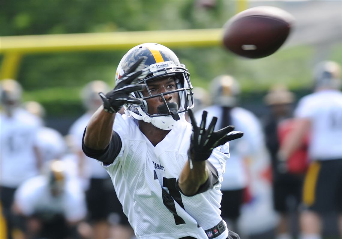 Journeyman Justin Hunter hoping for a fresh start with the Steelers ...