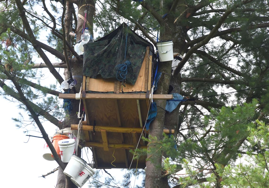 Tree sitters protesting pipeline remain after judge's deadline passes ...