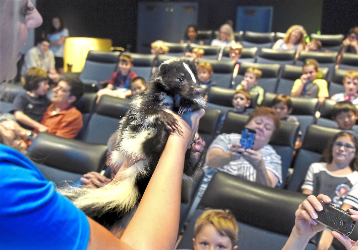 Museum's animal show designed as self-sustaining program | Pittsburgh ...