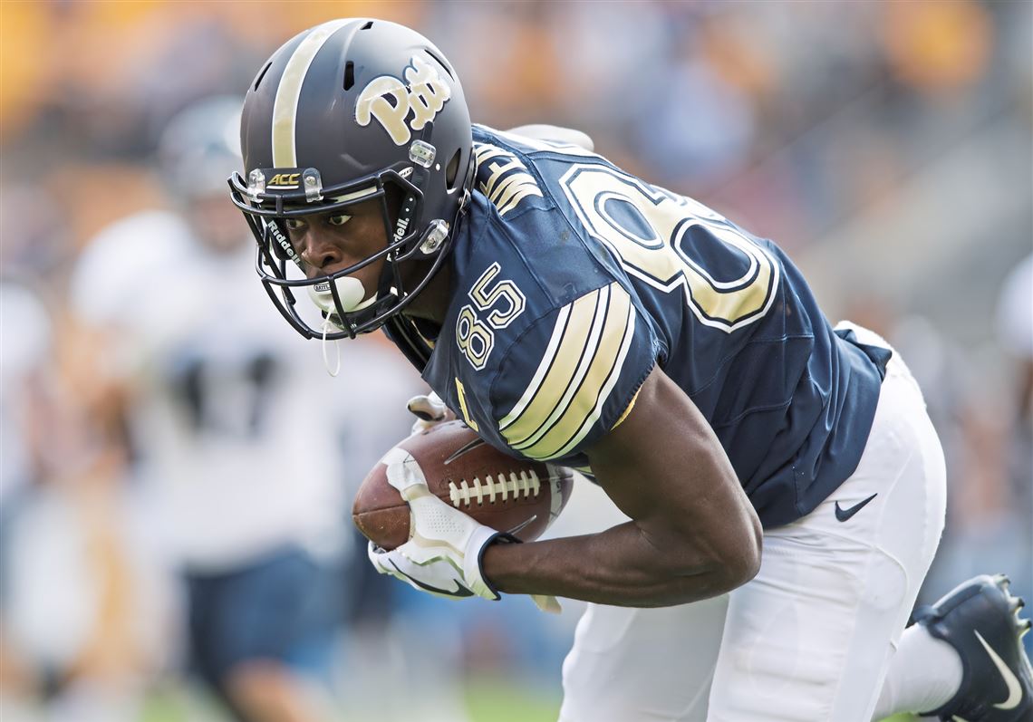 Pitt airs it out with Max Browne for 42-10 rout of Rice to snap skid ...