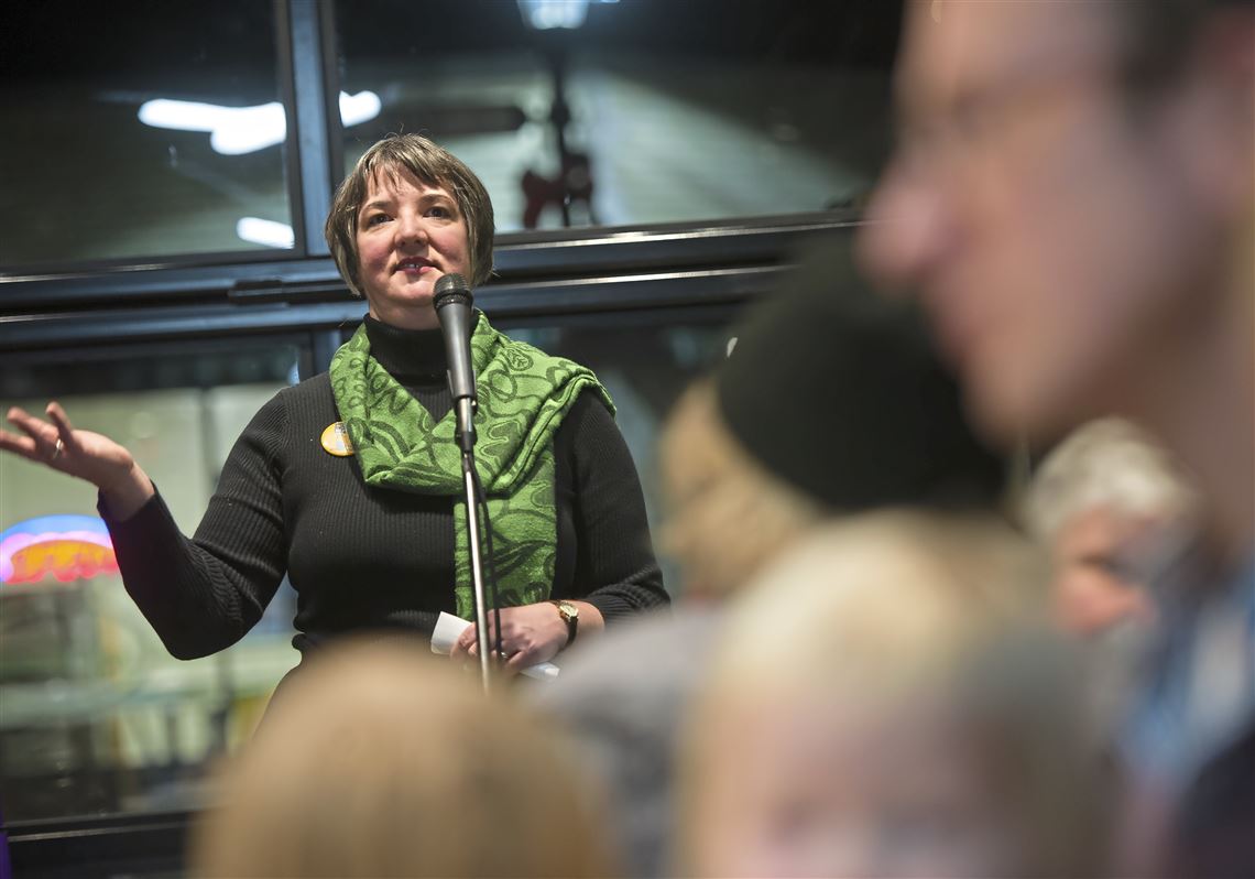 Michelle Boyle launches campaign in 38th state Senate race with show of ...