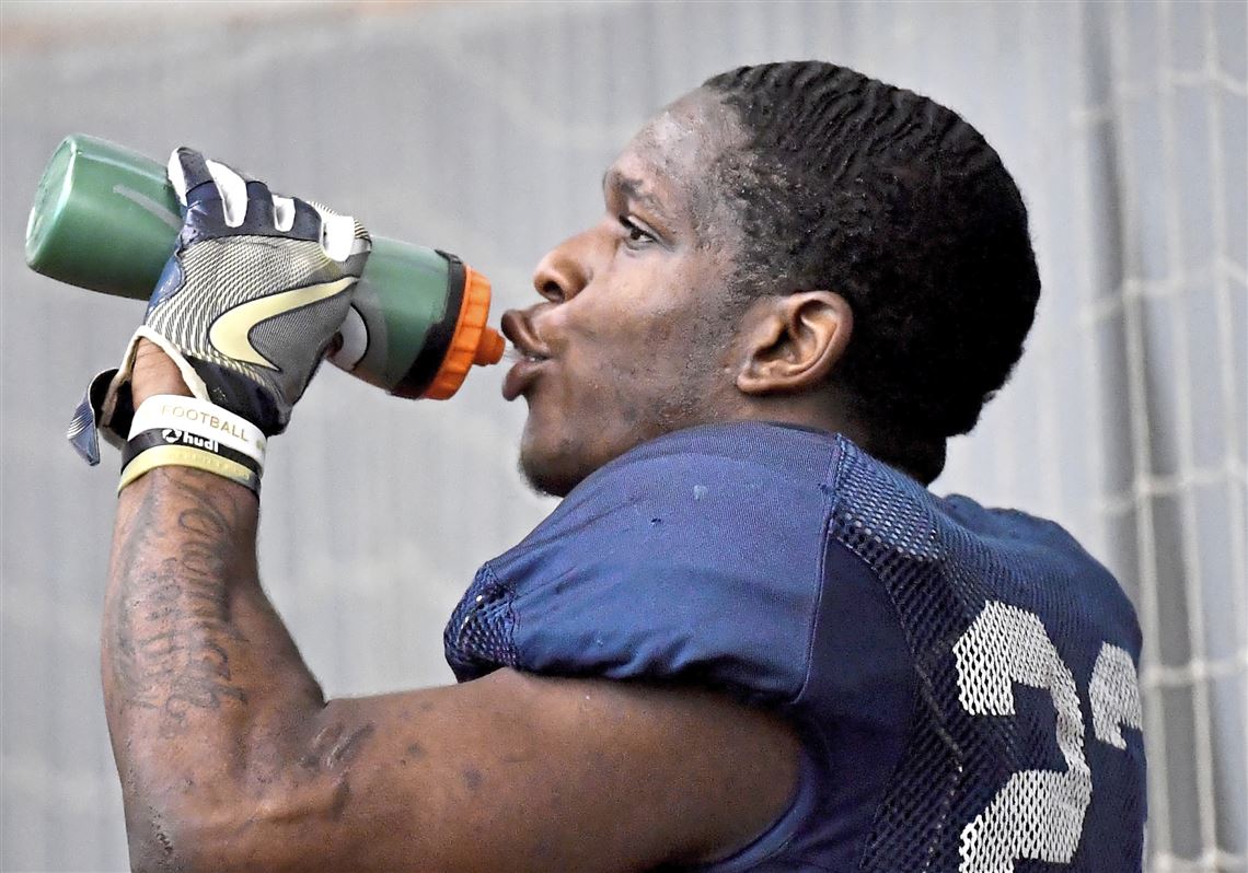 Pitt's 2018 spring game: 10 players to watch at Heinz Field ...