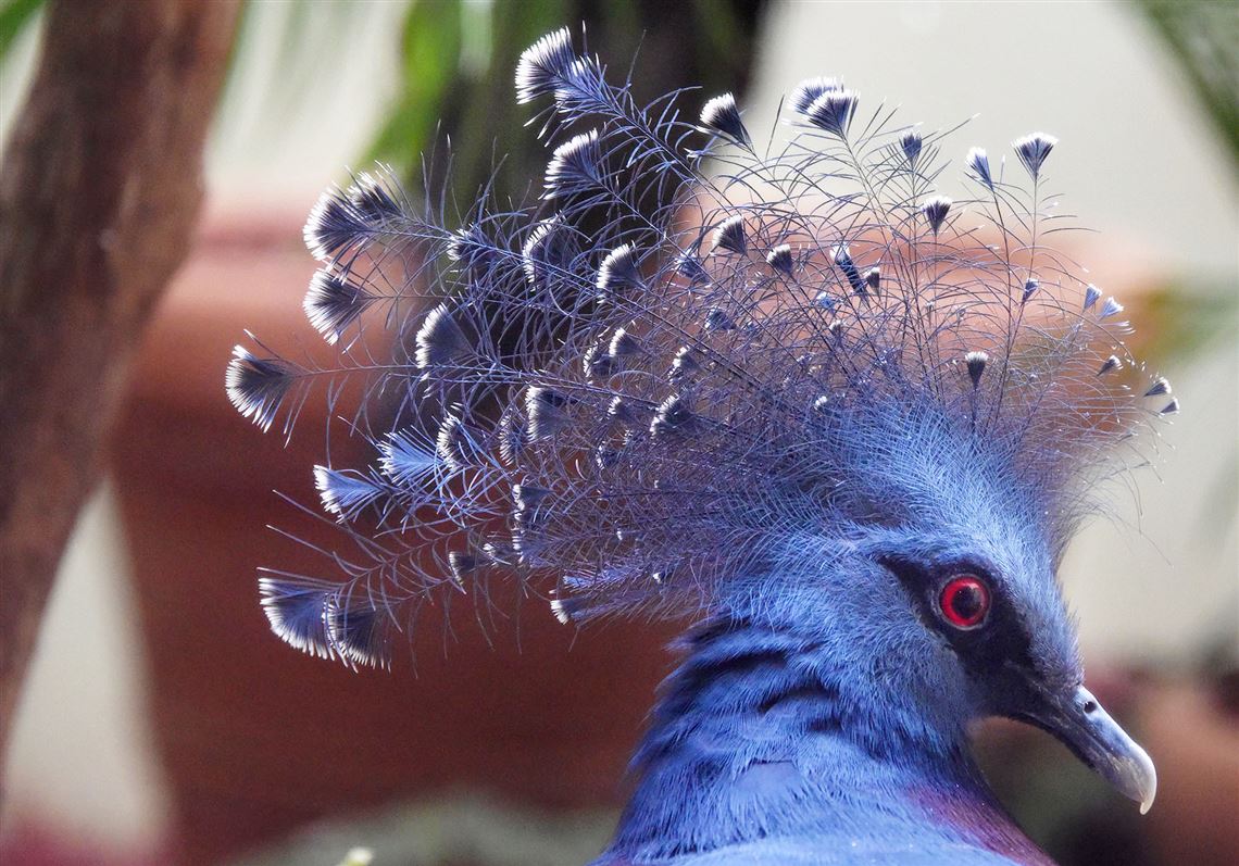 More than 3,000 'bird-friendly' glass panes to adorn renovated National ...