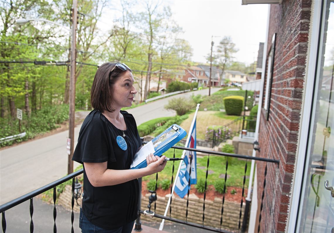 Democratic state Senate candidate Lindsey Williams ask court to dismiss ...