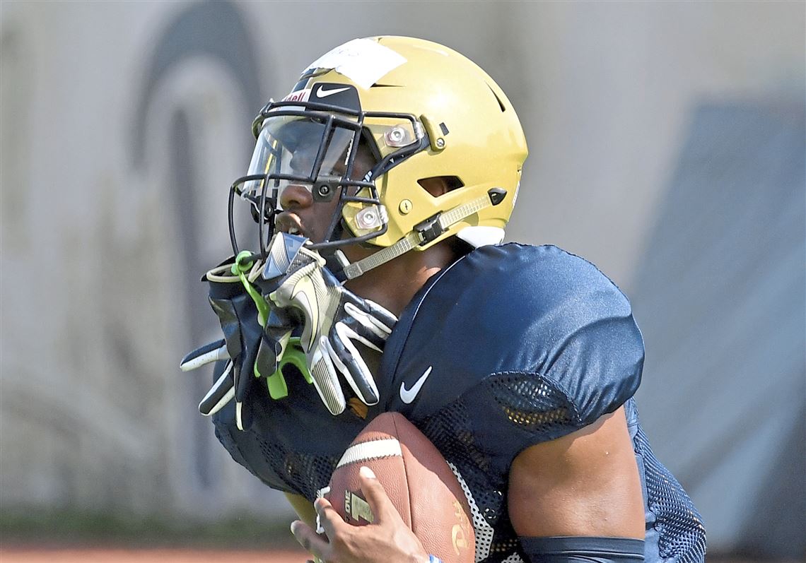 Pitt's Paris Ford, Bricen Garner don't make trip to Sun Bowl ...
