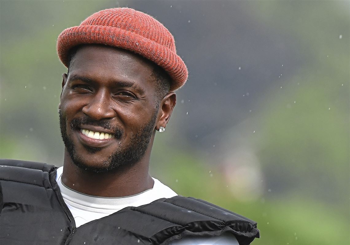 Ron Cook: Weekend rough on Steelers' image. But overall, team shines in ...