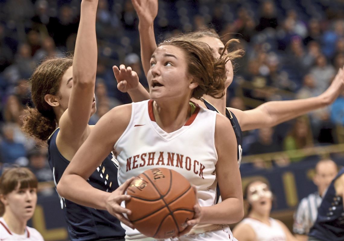 Neshannock girls win WPIAL Class 3A title | Pittsburgh Post-Gazette Neshannock girls win WPIAL Class 3A title | Pittsburgh Post-Gazette