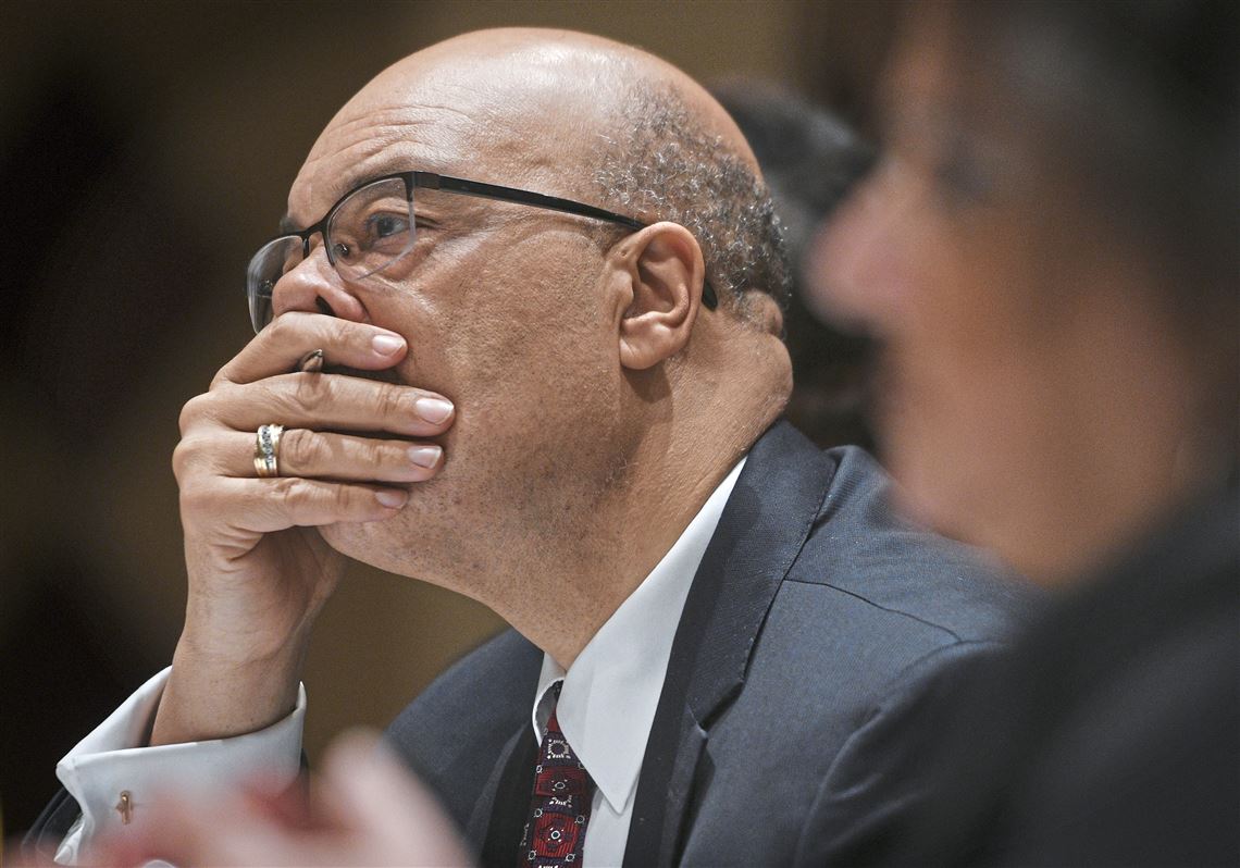 Ruth Ann Dailey: Kick-starting a $50 million conversation | Pittsburgh ...