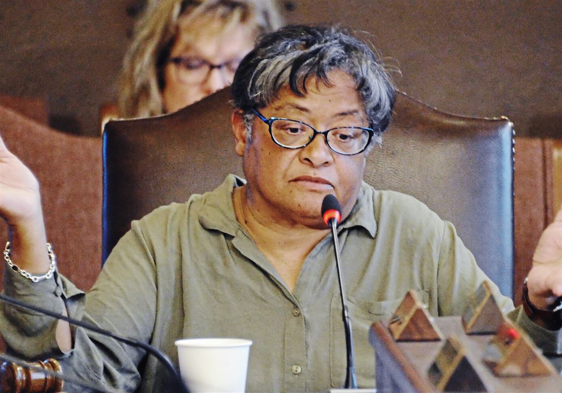 Pittsburgh school board president faces two challengers in May primary ...