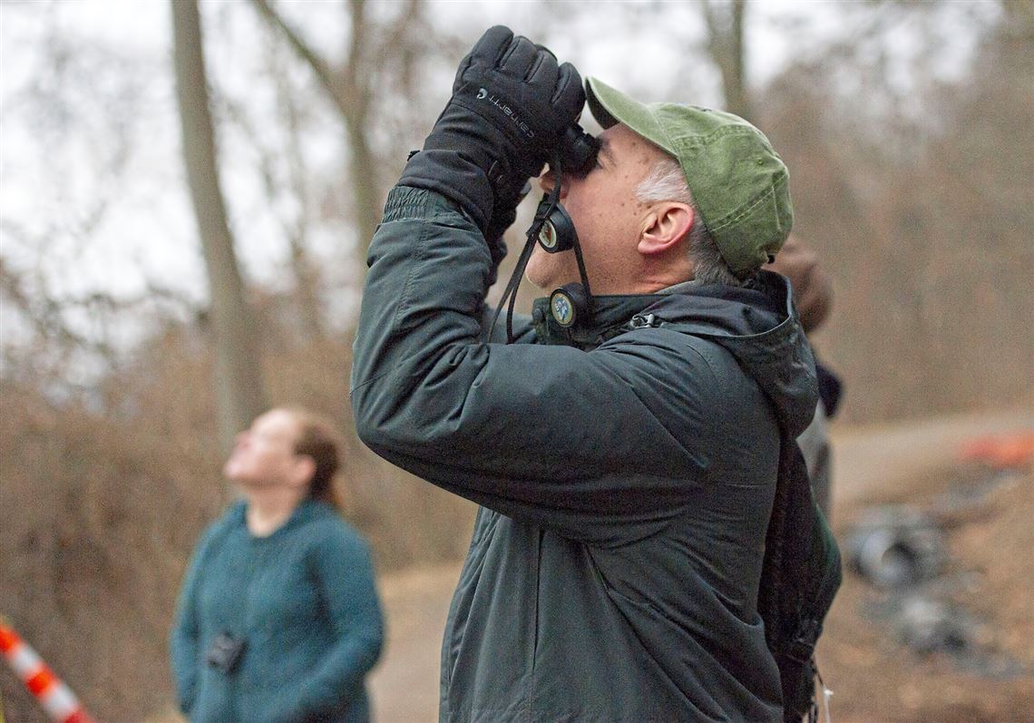 Out for the count: Western Pa. birders fan out for annual avian census ...