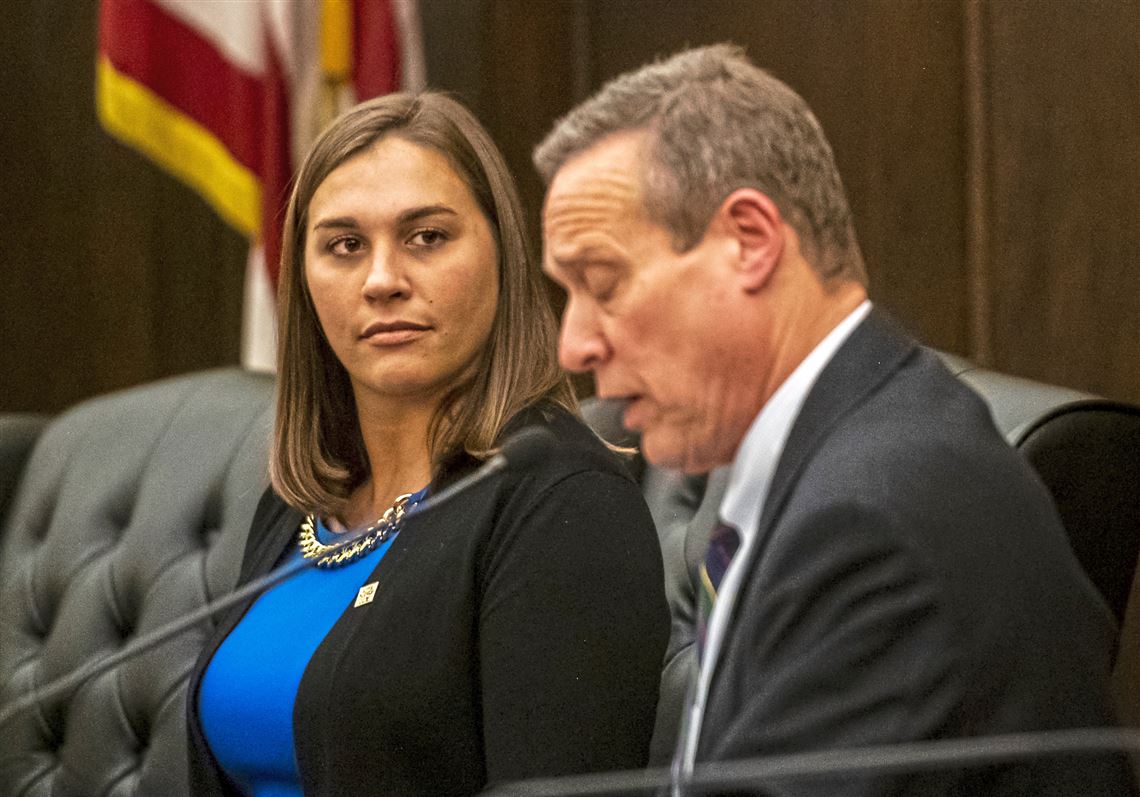 Anti-discrimination bill sails through Allegheny County Council in last ...