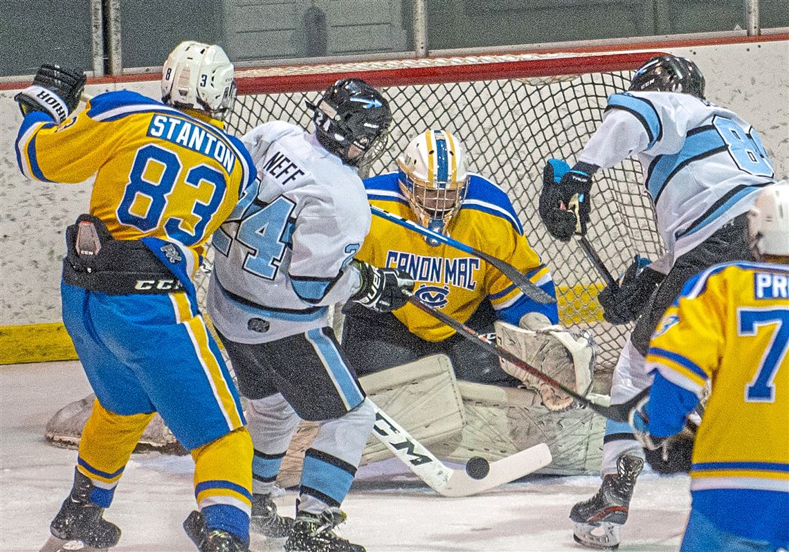 Key win maintains momentum for Canon-McMillan hockey | Pittsburgh Post ...