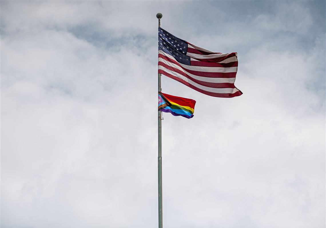 Other Voices: Improving the standard for equality across Pa ...