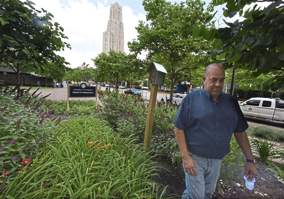 Pollinators welcome at Pitt, a new Bee Campus USA member | Pittsburgh ...