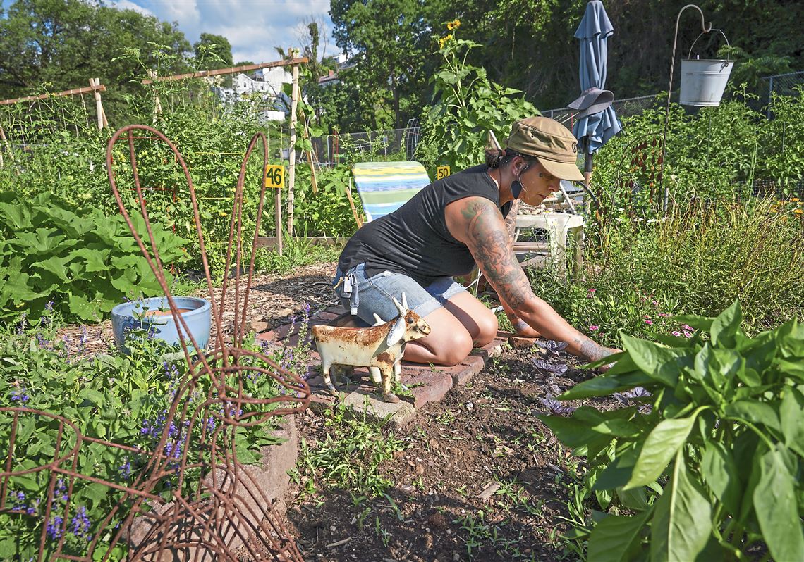 19 Neighbors: Community garden is an urban oasis in South Side Slopes ...