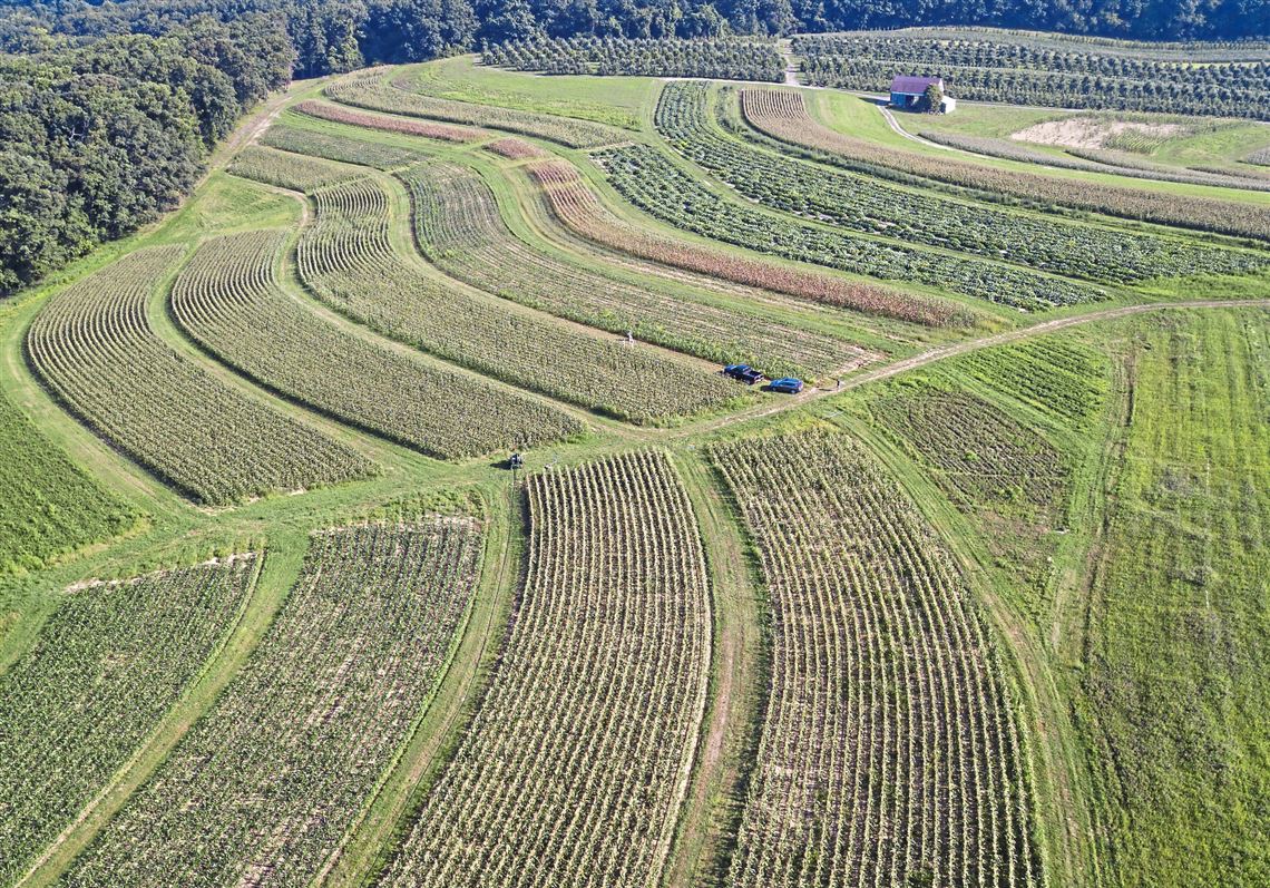 GT Thompson: How to maintain America’s nutrition safety net ...