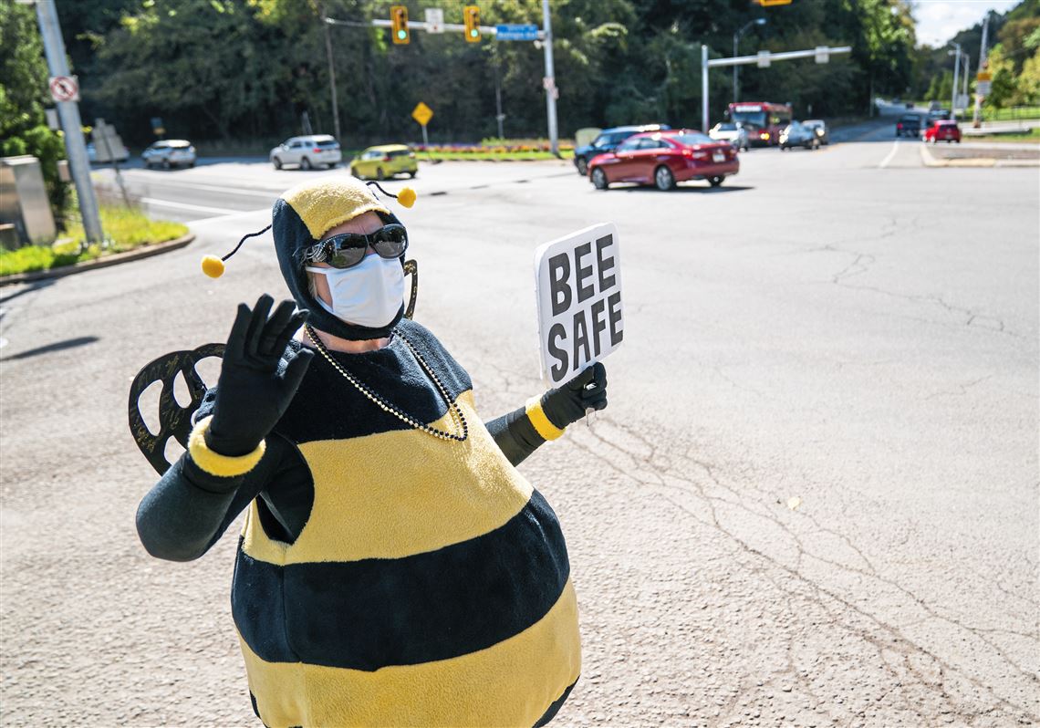 ‘Bee Lady’ swarmed with help when she takes a tumble | Pittsburgh Post ...
