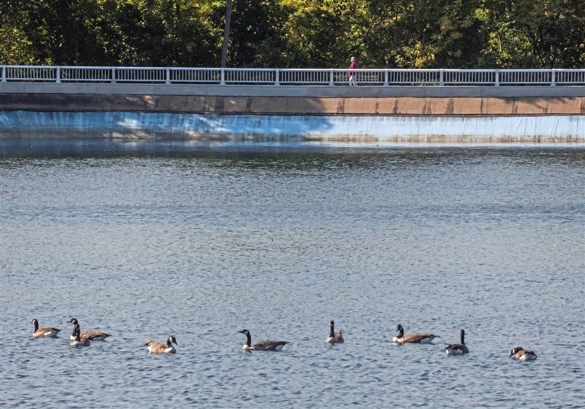 Pittsburgh Water and Sewer Authority awards $46 million in contracts ...